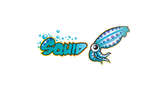 Build A Squid High Anonymous Proxy Server Using Docker In 3 Steps