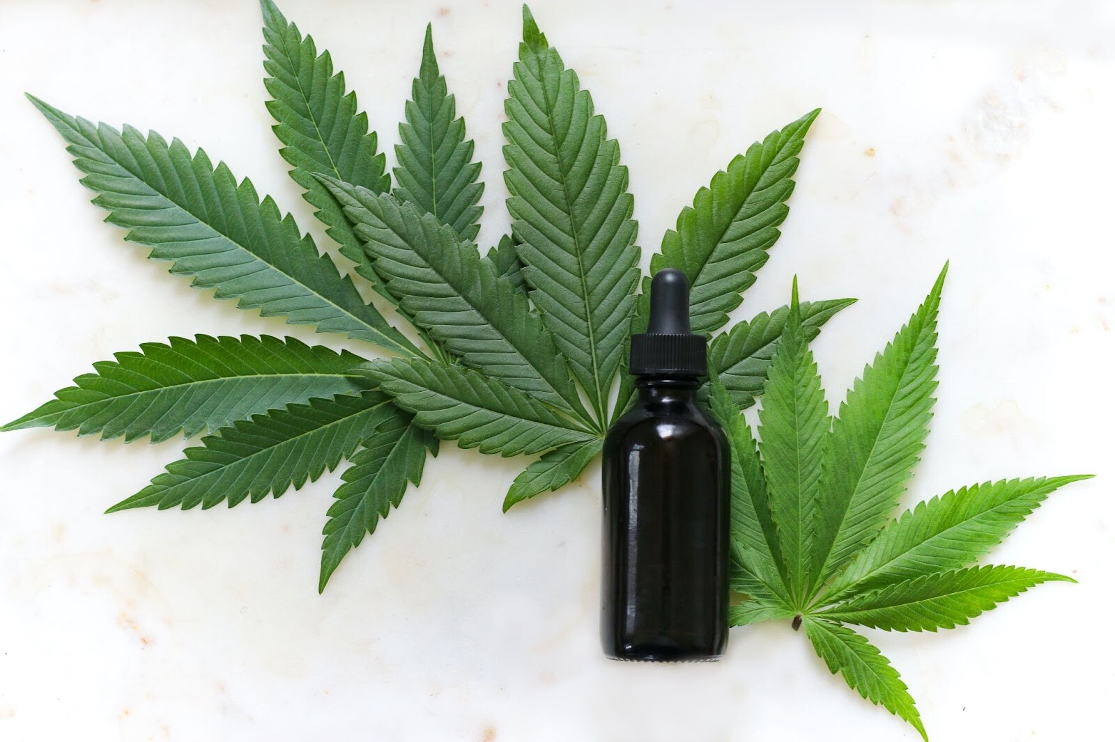 How CBD Oil Works: The Science Behind Cannabinoids